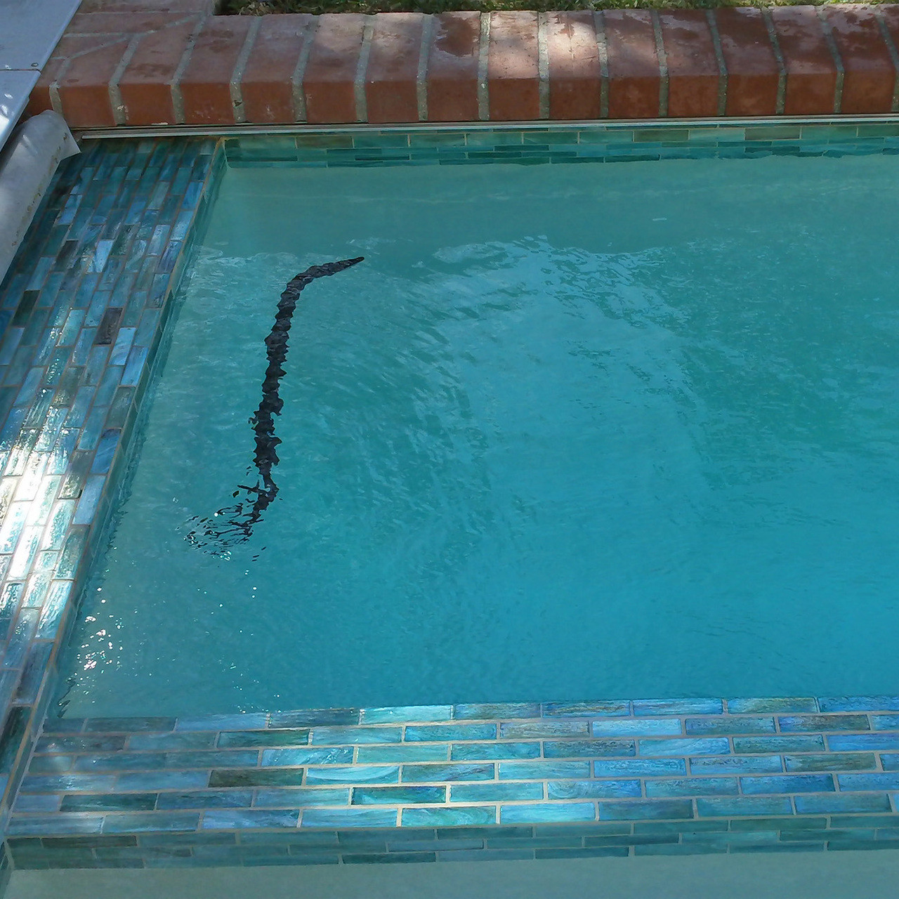 Savior Return Flow Line (1)