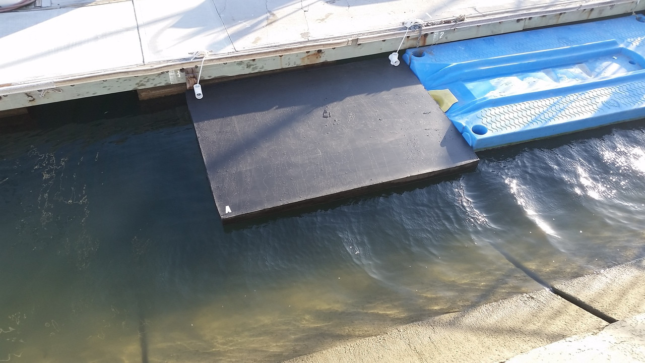 Savior Boat Lift and Emergacey Float LG
