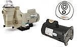 Pentair® Pinnacle® Pump SunRay Solar Powered Replacement Motors & Seal ...