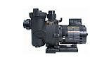 Jandy® FloPro® FHPM Two-Speed Pool Pump WetEnd with SunRay Solar ...