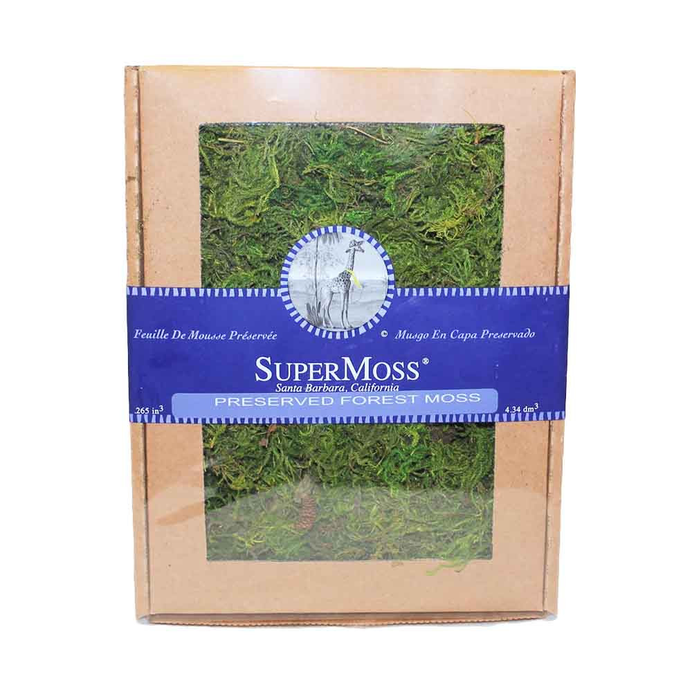 Containers - Moss Containers & Accents - LO Florist Supplies