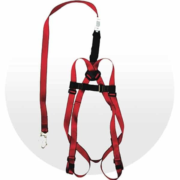Fall Protection: Harness, Lanyard