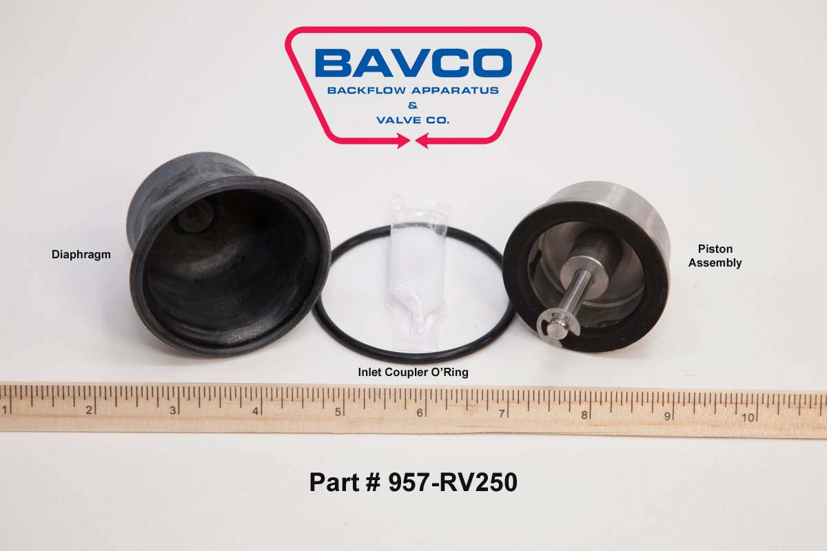 WATTS 957 2 1/2-10" RV RUBBER KIT