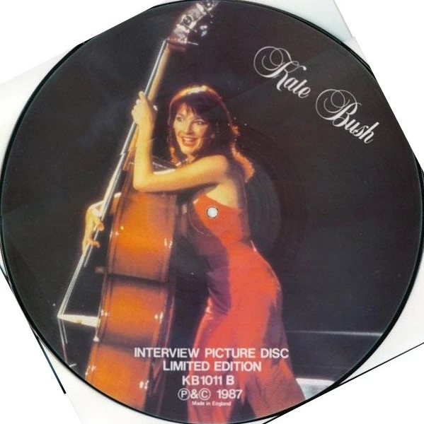 Kate Bush - Limited Edition Interview Picture Disc - The Record Centre