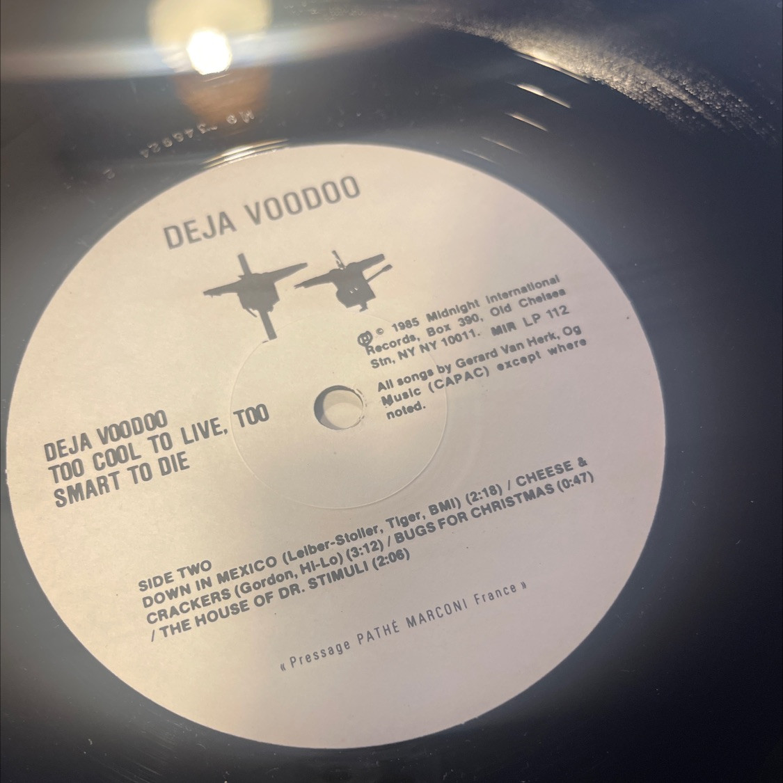 Deja Voodoo - Too Cool To Live, Too Smart To Die (Includes insert and ...