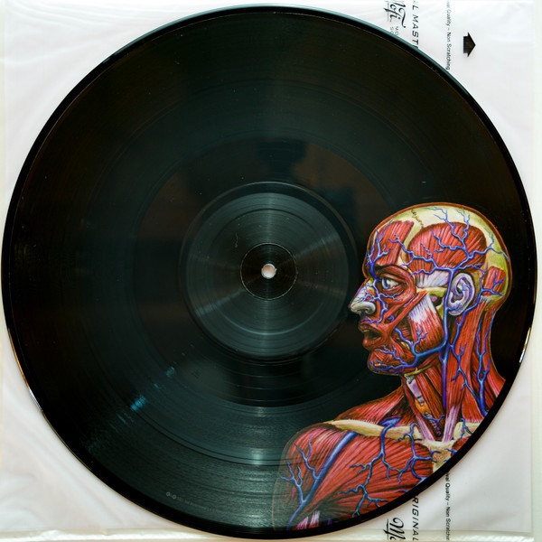 Tool - Lateralus (2011 NM/NM Limited Edition Picture Disc) - The Record ...