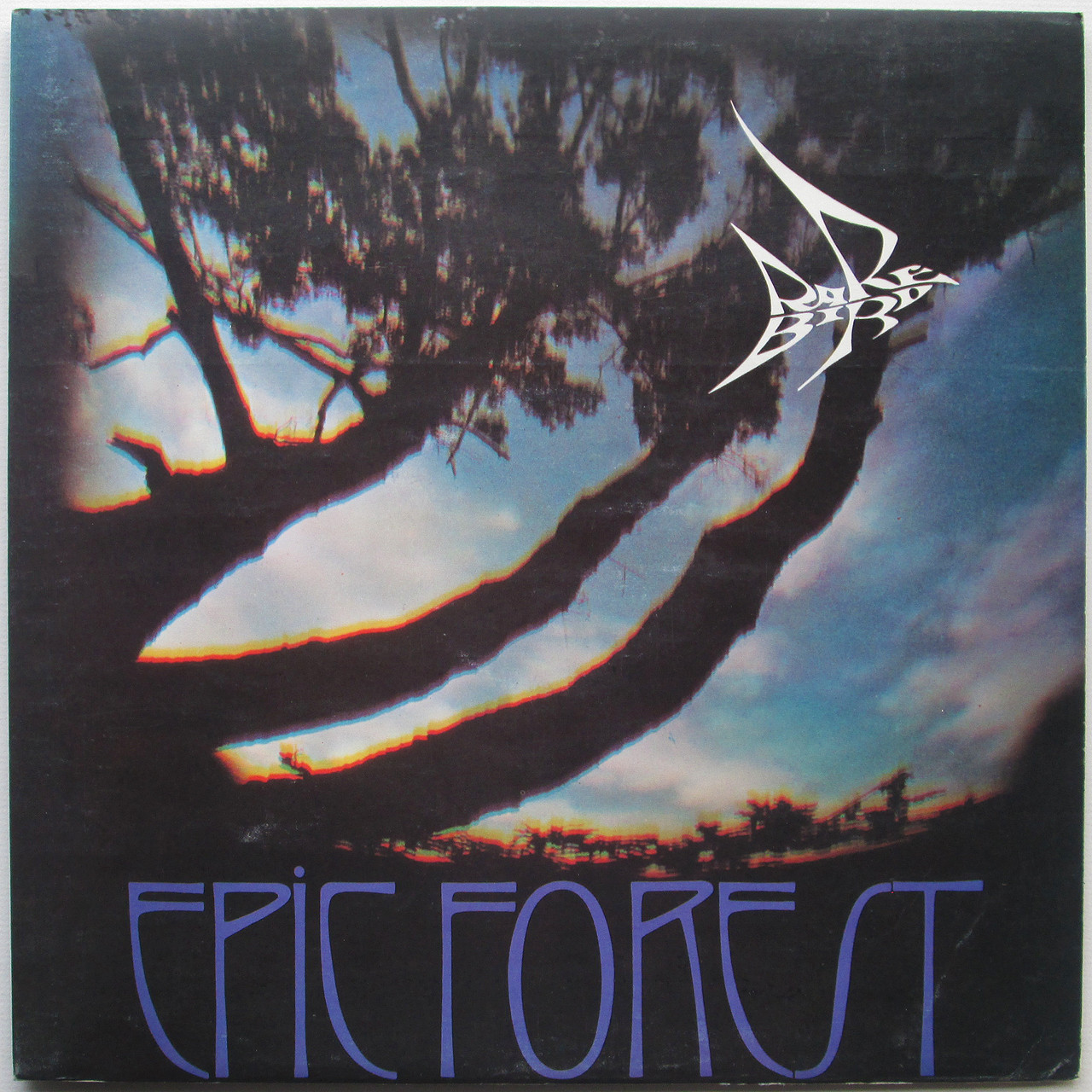 Rare Bird ‎– Epic Forest