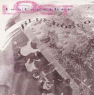 Blue Rodeo - Lost Together (1992 Cassette) - The Record Centre