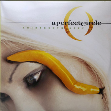 A Perfect Circle - Thirteenth Step - The Record Centre