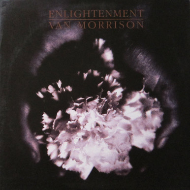 Van Morrison — Enlightenment (Canada 1990, NM-/EX) - The Record Centre