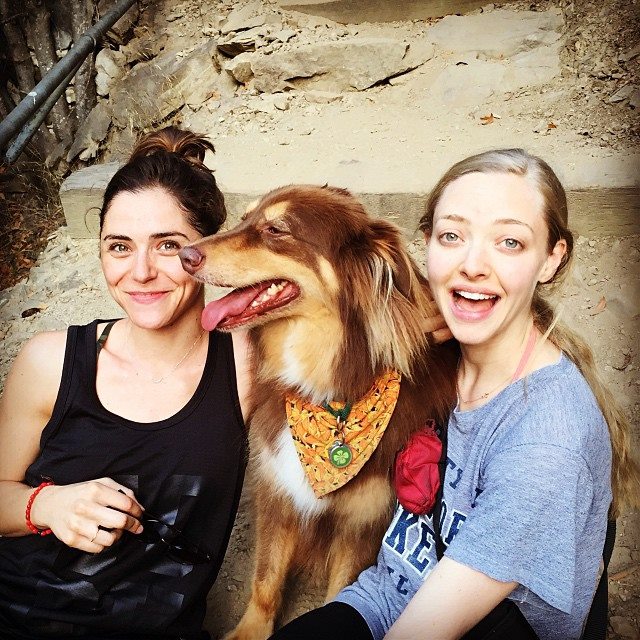 10 Photos of Celebrities and Their Cute Rescue Dogs! - Righteous Hound