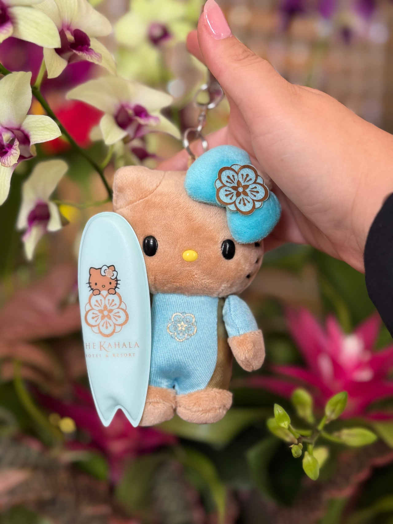 Hello Kitty - kahalaresort