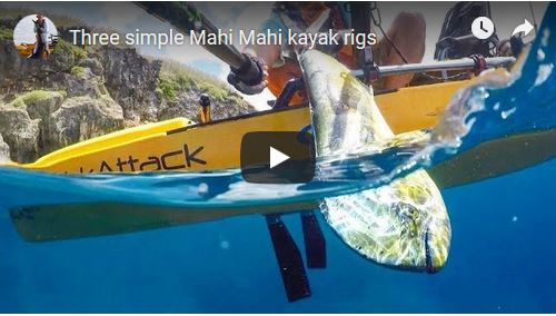 VIDEO: Three Simple Mahi Mahi Kayak Rigs - YakAttack