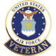 USAF LOGO VETERAN PIN USAF LOGO VETERAN PIN (P12561) | Eagle Emblems