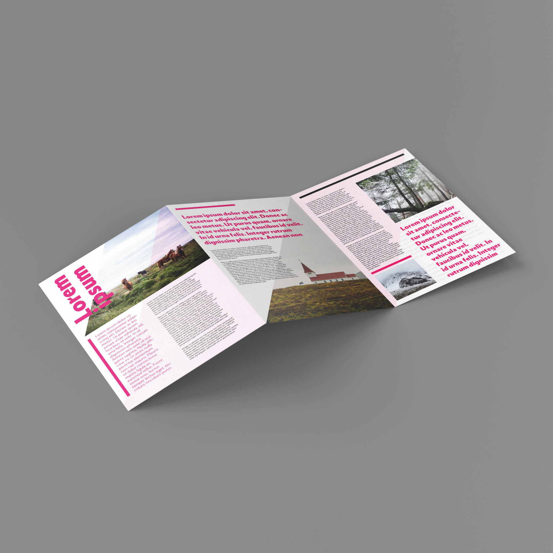 Cheap Folded Leaflet and Flyer printing