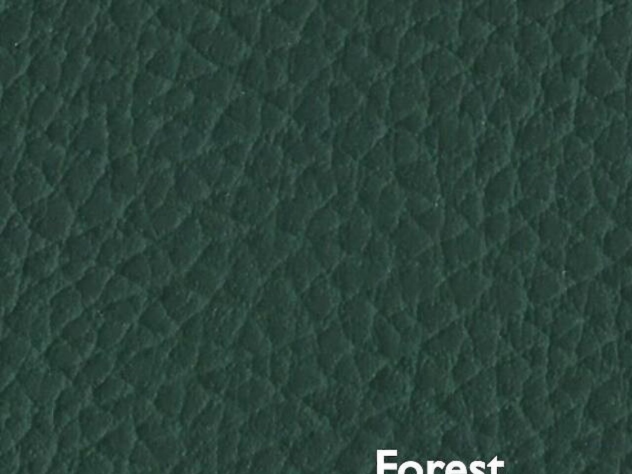 Green Vinyl - Fabric Warehouse