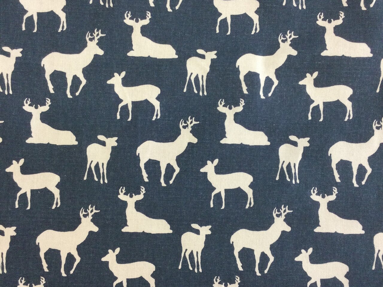 Yellow Camp Fabric - Fabric Warehouse