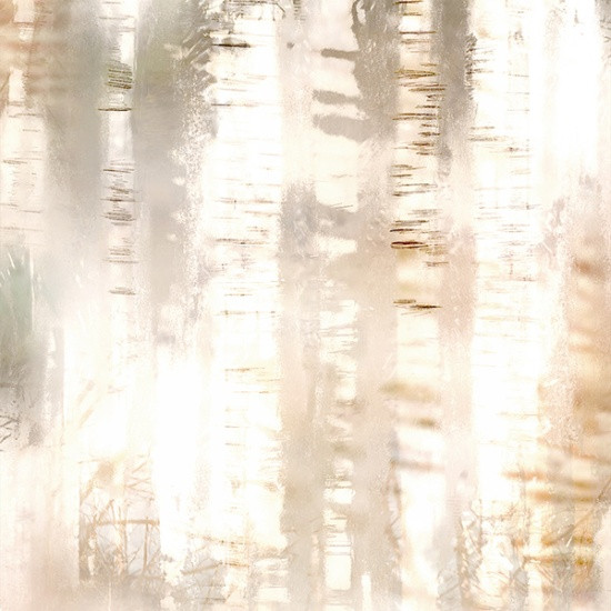 Hoffman Sea Salt by McKenna Ryan MRD41-20 Natural Abstract Trees Bark ...