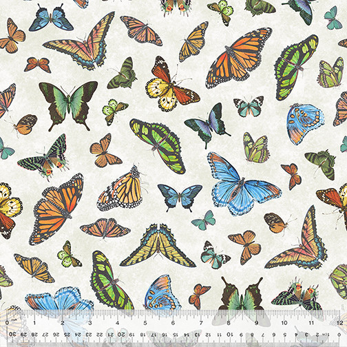Windham Butterfly Collector Lepidoptery Butterflies 53610-3 Ivory | Per ...