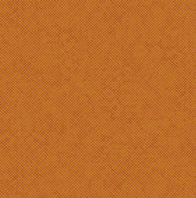 Whisper Weave Too 13610-036 Pumpkin Tonal by Nancy Halvorsen for ...