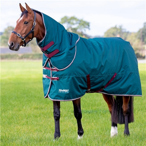 Tempest Original 200 Turnout Rug & Neck - Green - Derby Equestrian ...