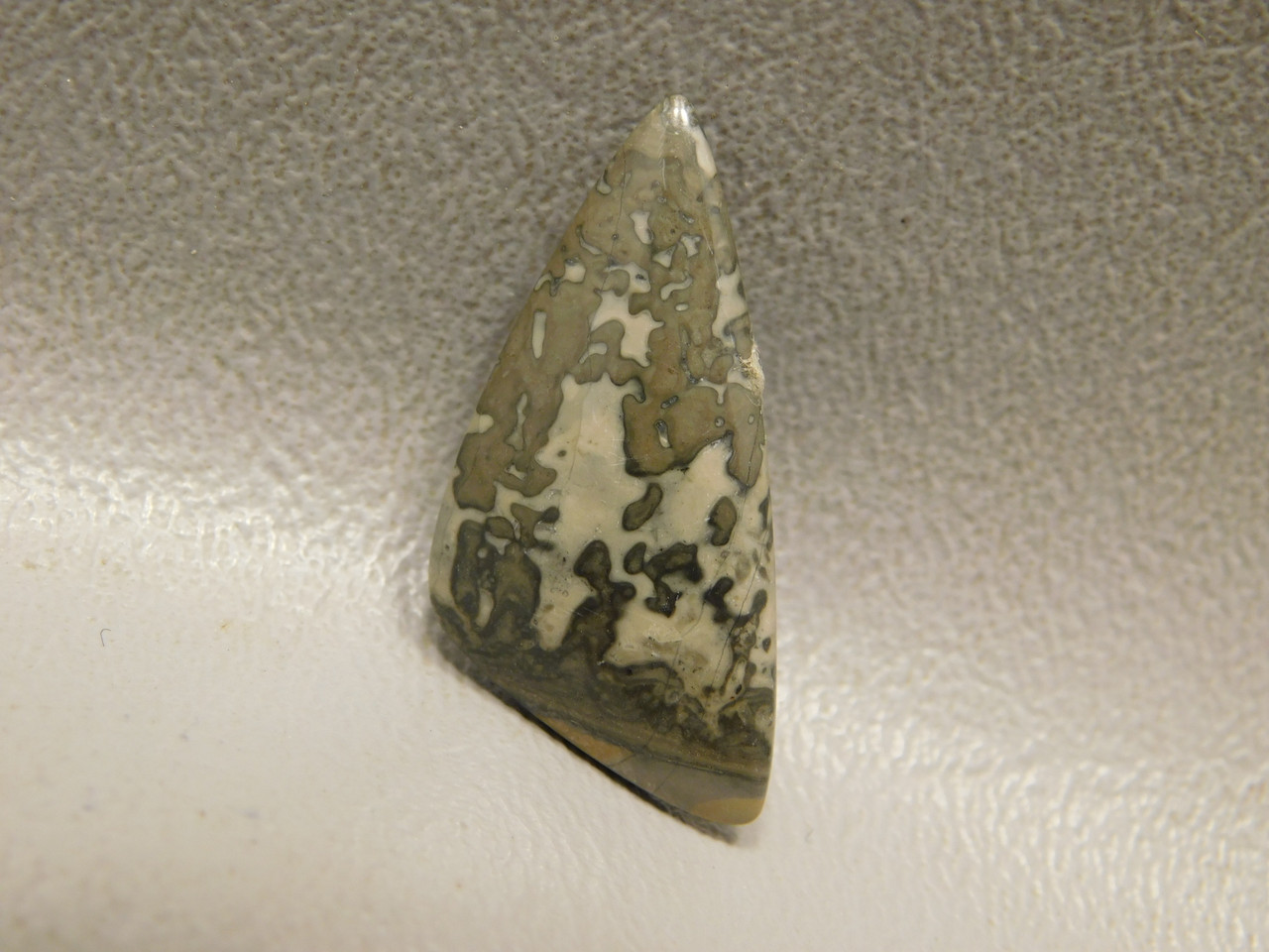 Cotham Marble Cabochon #23 - Barlows Gems