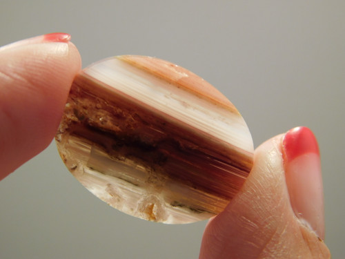 Candy Opal Cabochon #1 - Barlows Gems