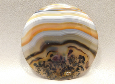 Brazilian Piranha Agate Cabochon #20 - Barlows Gems