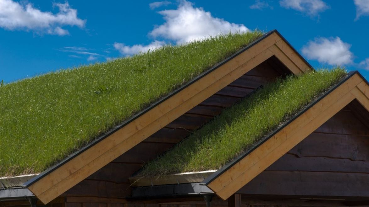 5 Eco-Friendly Roofing Options - Howarth Timber & Building Supplies