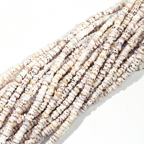Tiger Puka Shell 3-5mm | $4.50 Wholesale