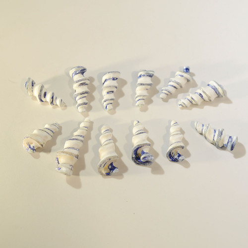 12x36mm Conch Spine Shell Bead