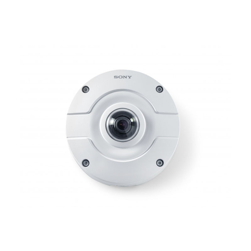 Sony SNC-WL862 Outdoor Dome IP Security Camera