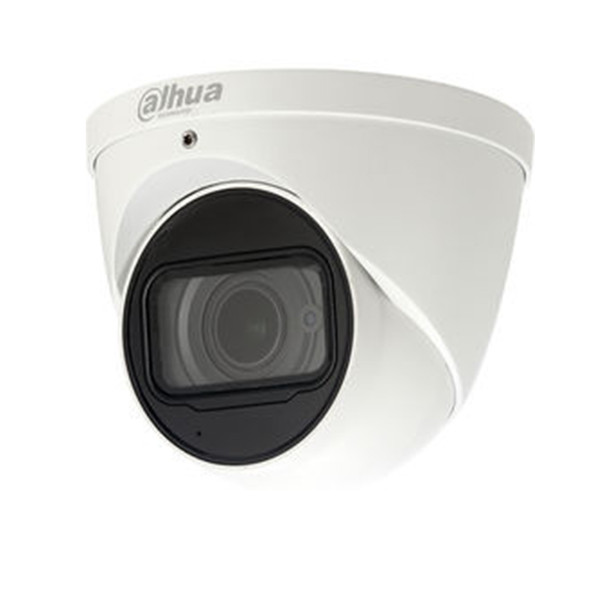 Dahua Eyeball Security Cameras