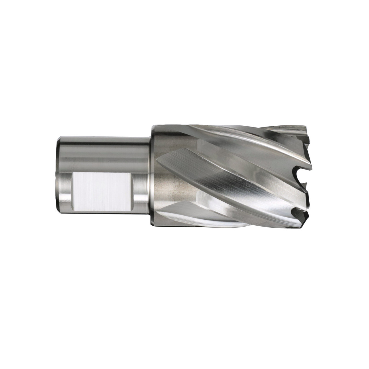 1" X 1" HSS Annular Cutter, with Pilot Pin | DrillsandCutters.com