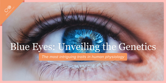 Blue Eyes: Unveiling the Genetics Behind the Hue - Debby Burk Optical