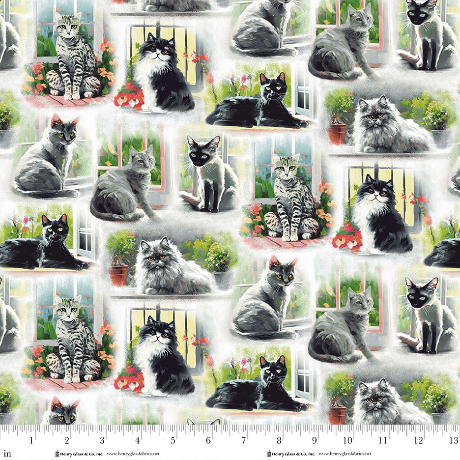 Henry Glass || City Art Studio || Catsup