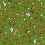 Fabric Lines - While Supplies Last - Two By Two - Henry Glass Fabrics