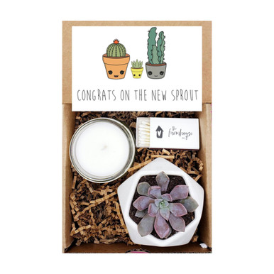 New Sprout Baby Congratulations Gift Box