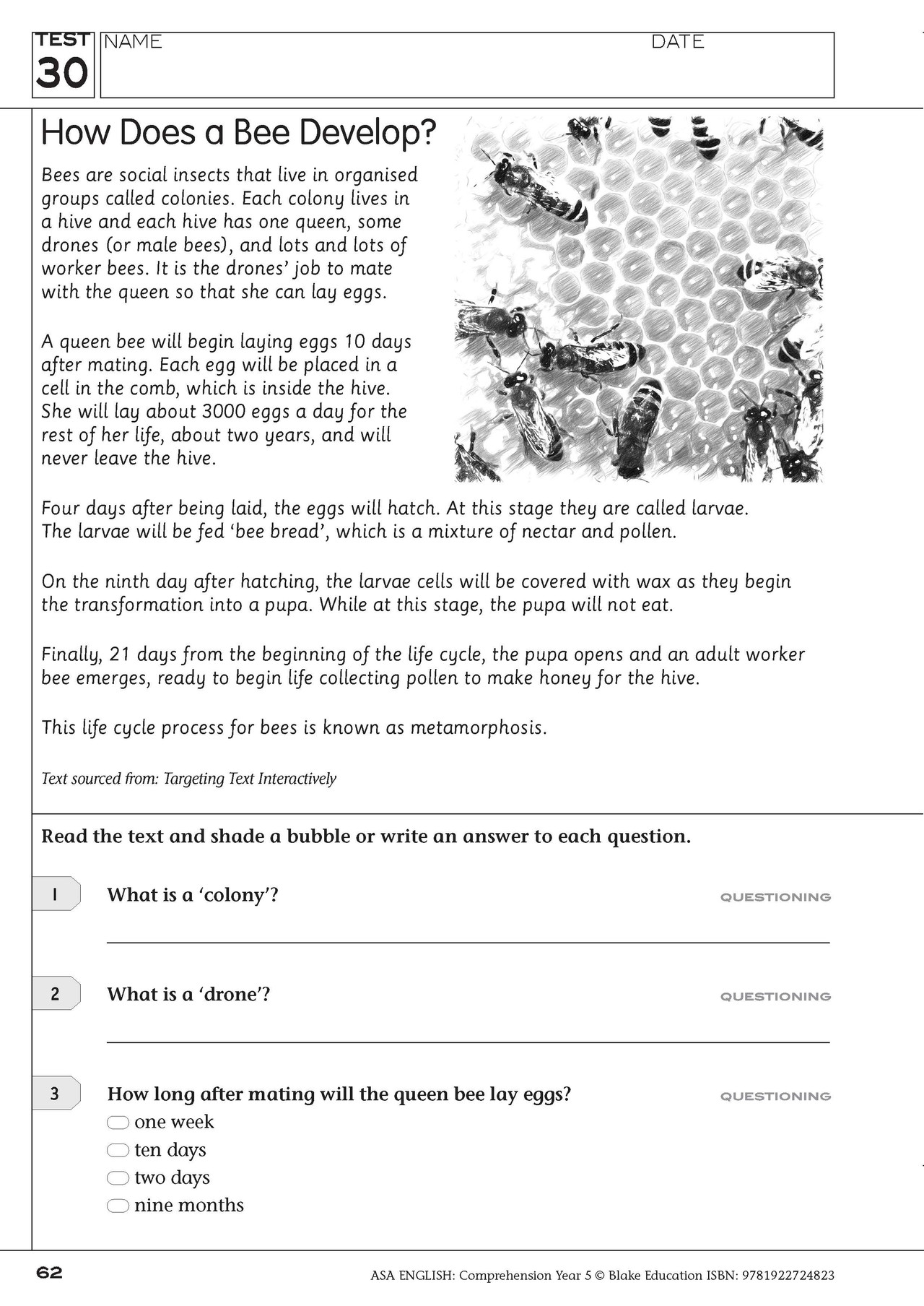 Achievement Standards Assessment: English - Comprehension Year 5