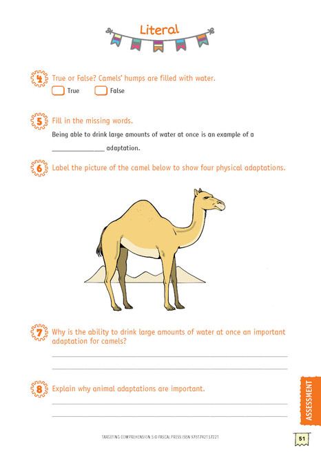 Targeting Comprehension Activity Book Year 5