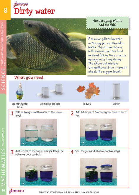 Targeting STEM Year 4