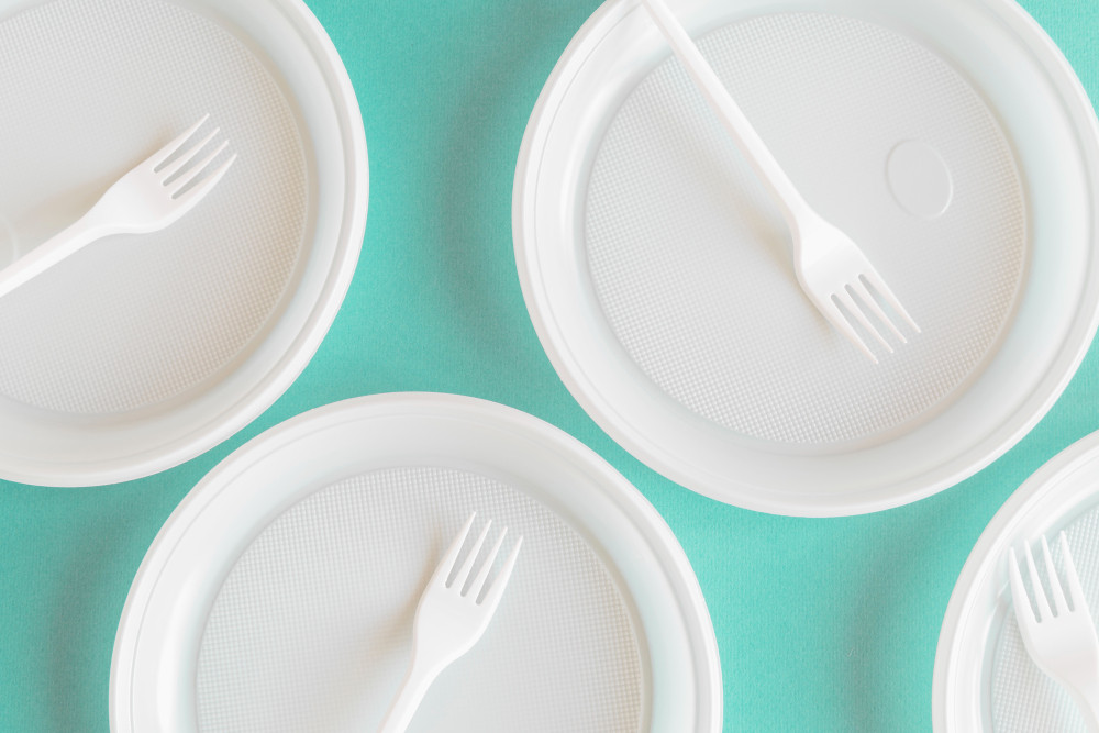 Wholesale Disposable Plates