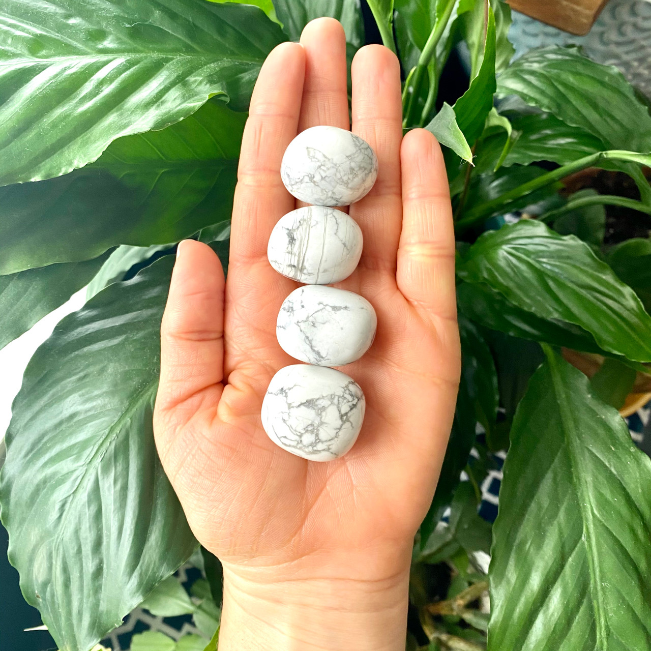 Howlite Tumbled Stone- Medium