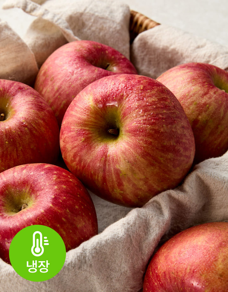 [시즌 종료] 당도선별 GAP인증 사과 (1.5kg 중과, 5-7입/봉)｜금 16시 전 재입고 | 와이즐리