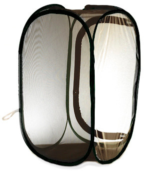 Pop-up mesh enclosure (Large) - Minibeast Wildlife Bug Shop