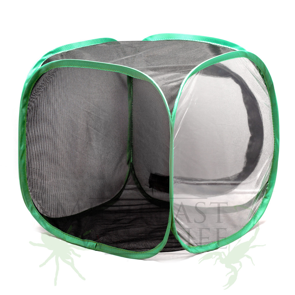 Pop-up mesh enclosure (Small) - Minibeast Wildlife Bug Shop