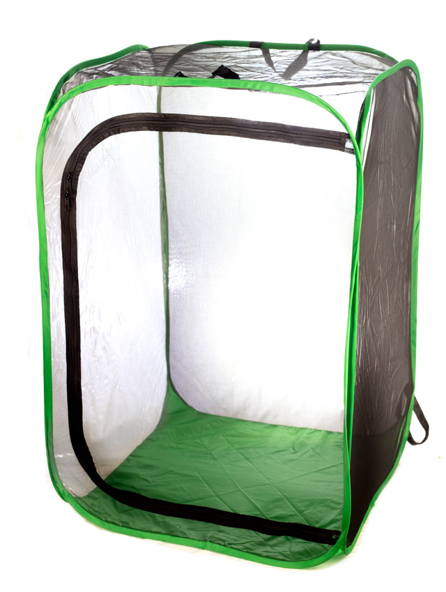Gargantuan pop-up mesh enclosure (XL) - Minibeast Wildlife Bug Shop