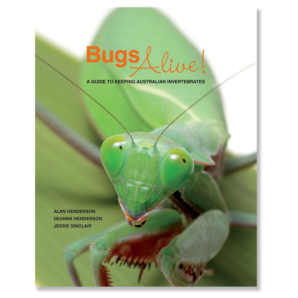 Bugs Alive! - A Guide to Keeping Australian Invertebrates - Minibeast ...