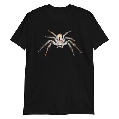 Giant Banded Huntsman (Holconia immanis) - Unisex T-Shirt - Minibeast ...