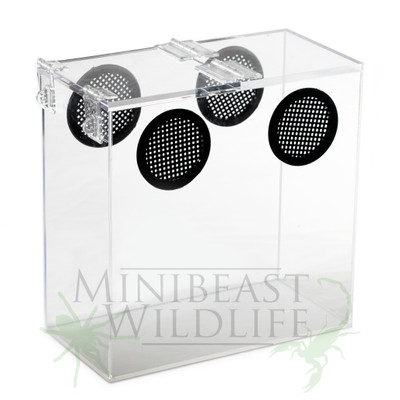 Acrylic enclosure (240mm x 120mm x 240mm) with hinged lid - Minibeast ...